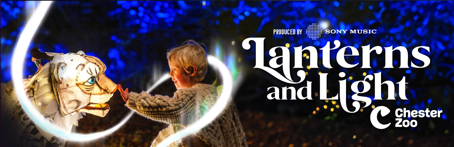 Lanterns and Lights at Chester Zoo FAQ – Ticketek UK
